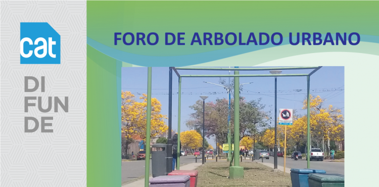 CAT Difunde: Foro de Arbolado Urbano